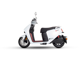 DAO 703 Red Colour - 703 Red Price