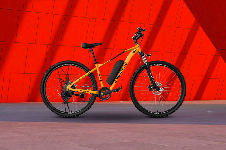 EMotorad T-Rex Air 29 Price, Images, Mileage, Specs & Features