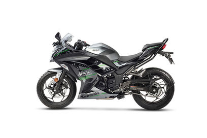 Kawasaki Ninja 300 Metallic Moondust Gray Colour - Ninja 300 Metallic ...