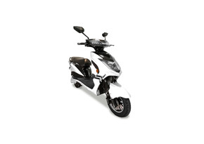 Kinetic Green Zing Colours - Zing Color Images