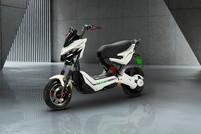 What is the Torque of Prevail Electric Wolfury? BikeDekho