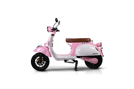 Thunderbolt Bee Plus Price, Range, Charging Time Images, colours ...