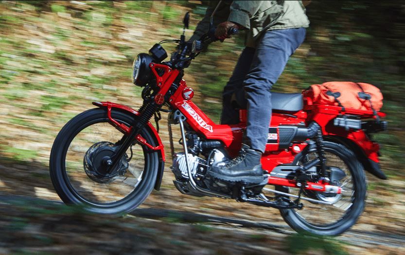 Honda CT125 Hunter Cub: All You Need To Know | BikeDekho